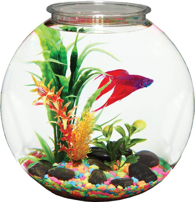 3 Gallon Fish Bowl Koller Products